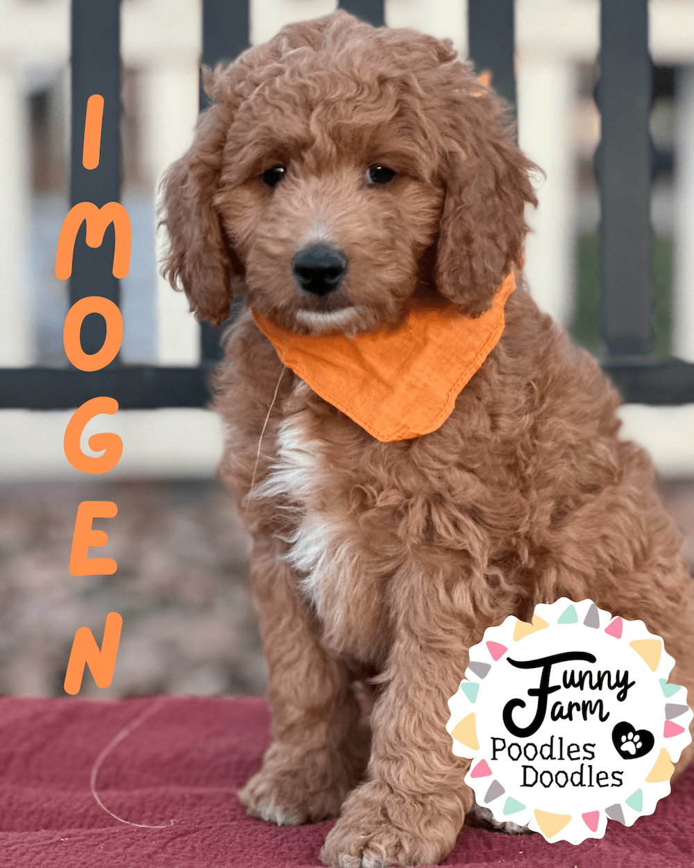 Meet Imogen: A Confident and Energetic Companion